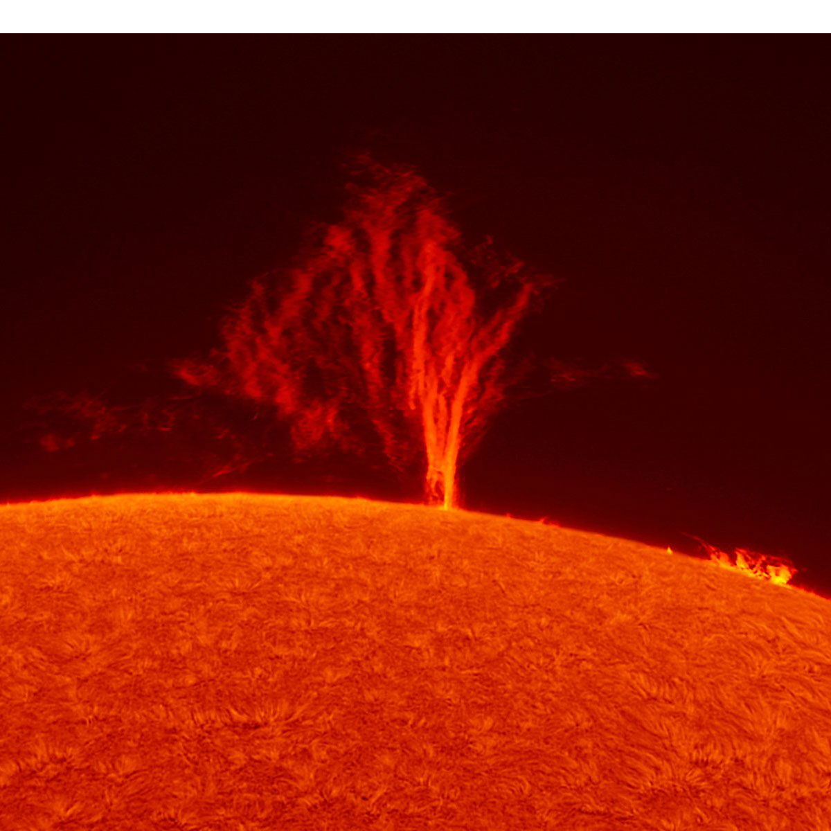 Solar Imaging Experience - Perfect Gift! | First Light Optics